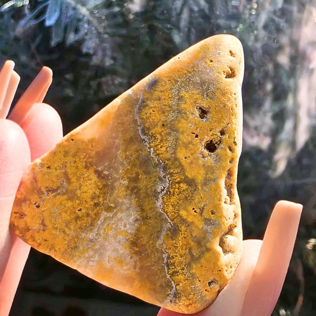 Rare Bumblebee Jasper Raw Freeform – Cats Love Crystals
